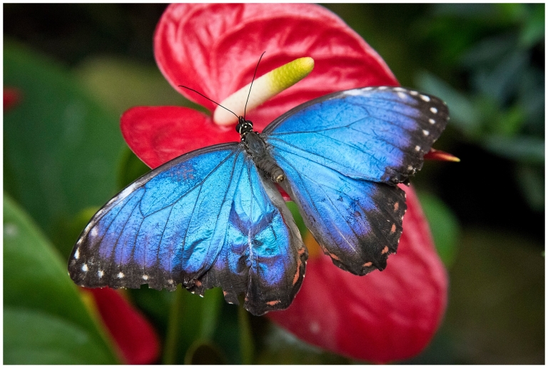 A day at Twycross Zoo… » Alex Vass Photography