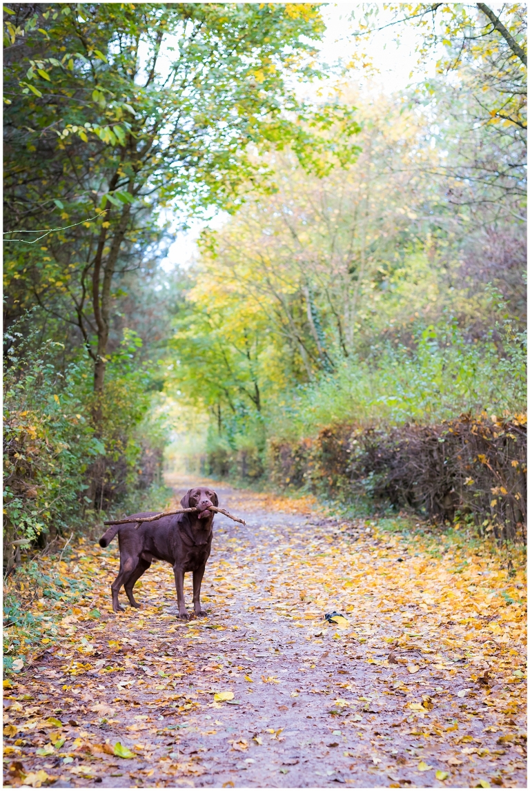 Everyone thinks their dog is the best… and they’re right! » Alex Vass ...