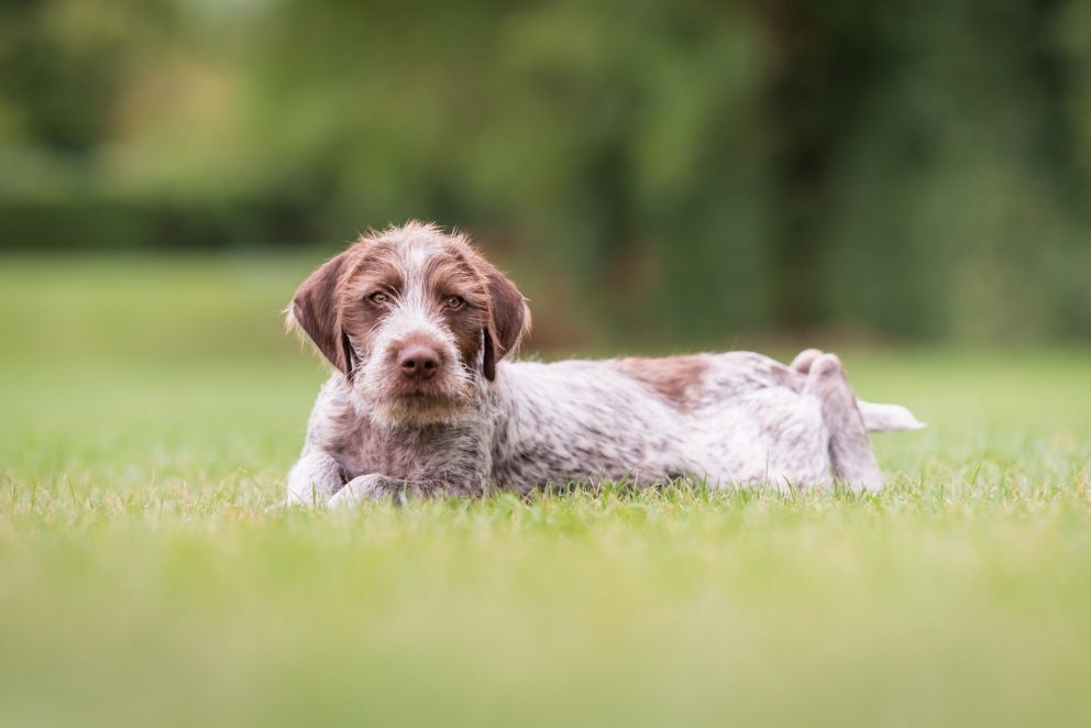 Home » Alex Vass Photography