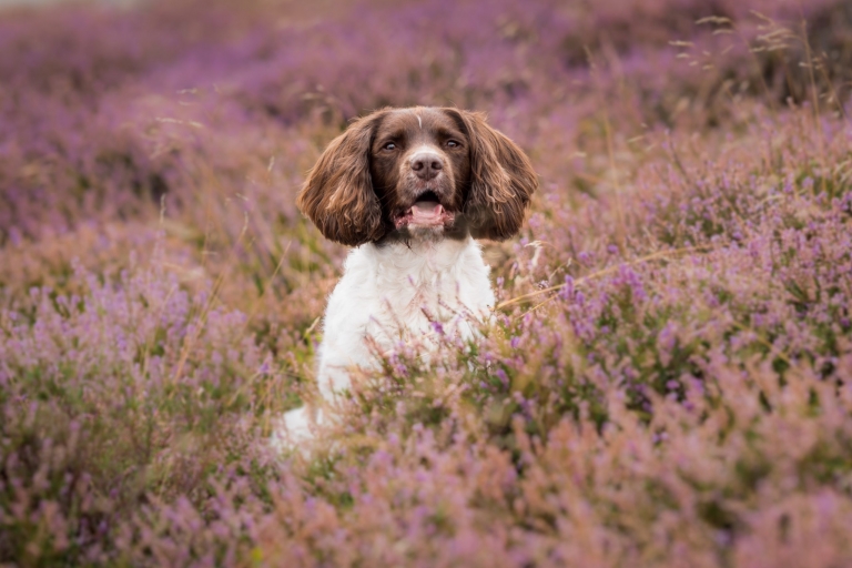 Home » Alex Vass Photography